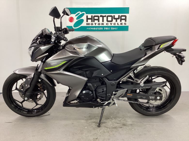 中古 KAWASAKI カワサキ Z250 2017 【360°VIEW!】 はとや(HATOYA)-スペック詳細