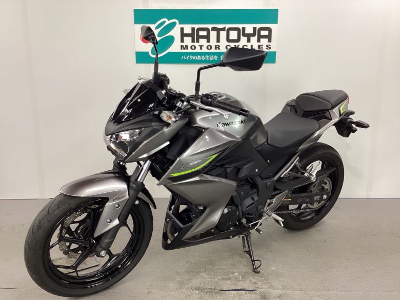 中古 KAWASAKI カワサキ Z250 2017 【360°VIEW!】 はとや(HATOYA)-スペック詳細