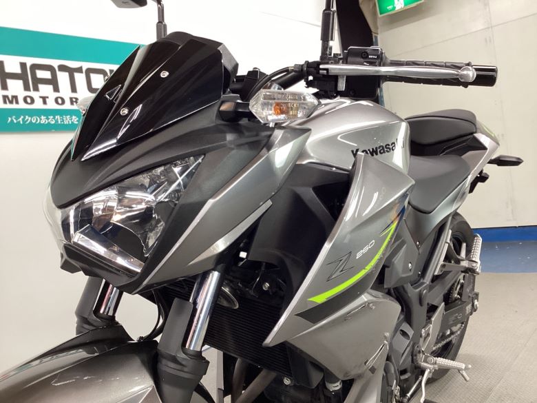 中古 KAWASAKI カワサキ Z250 2017 【360°VIEW!】 はとや(HATOYA)-スペック詳細